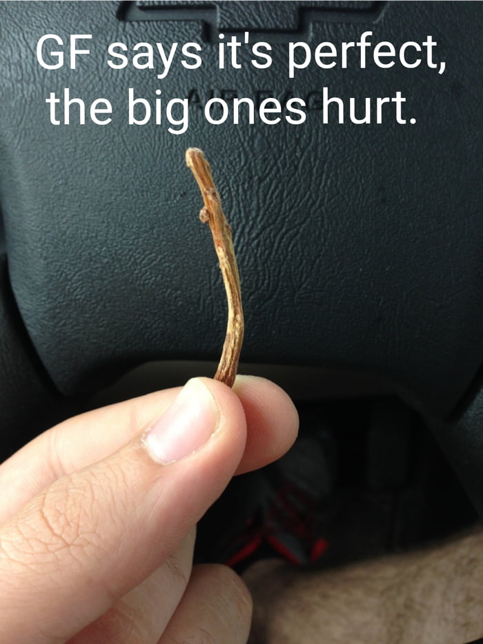 I think it's an average stick. Also it was cold that day. - 9GAG
