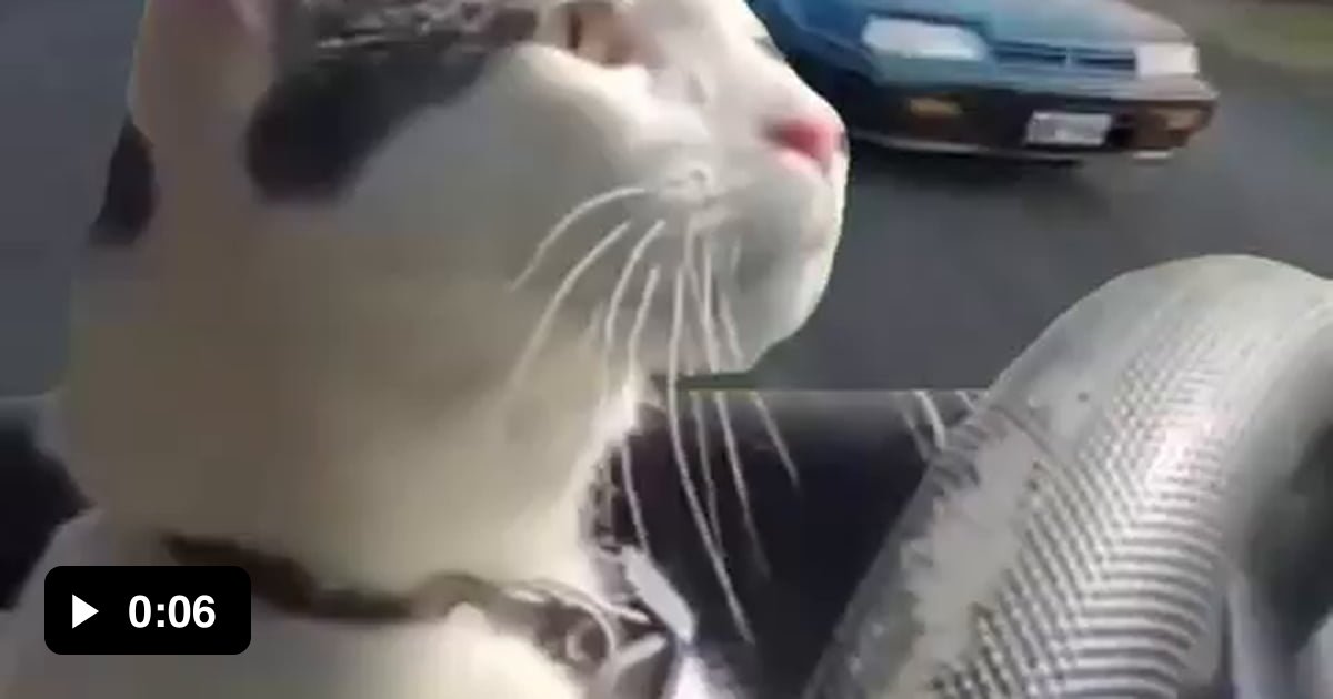 Insert title here - 9GAG