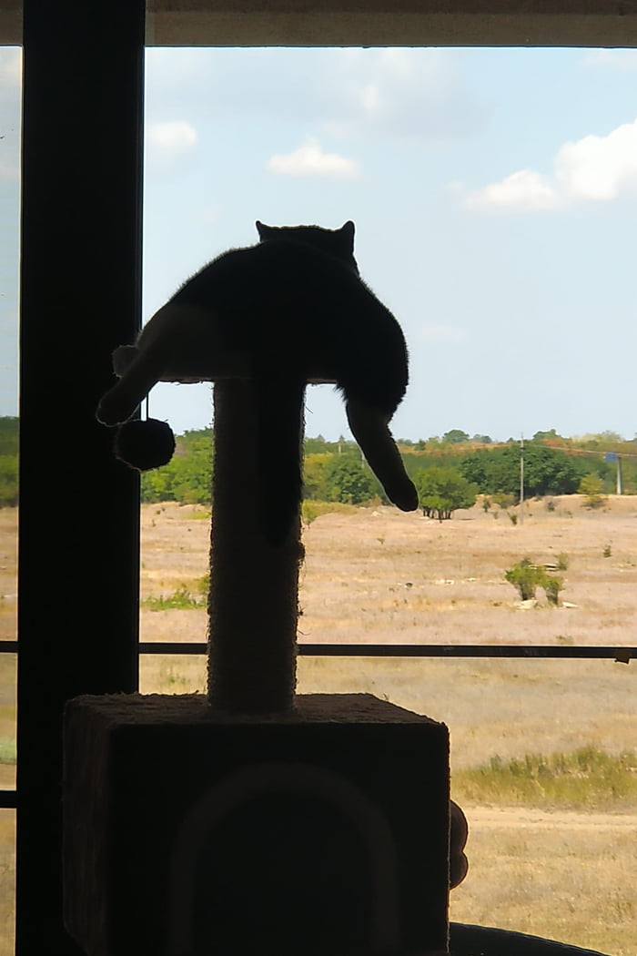 Just my fat f**k enjoying the afternoon - 9GAG