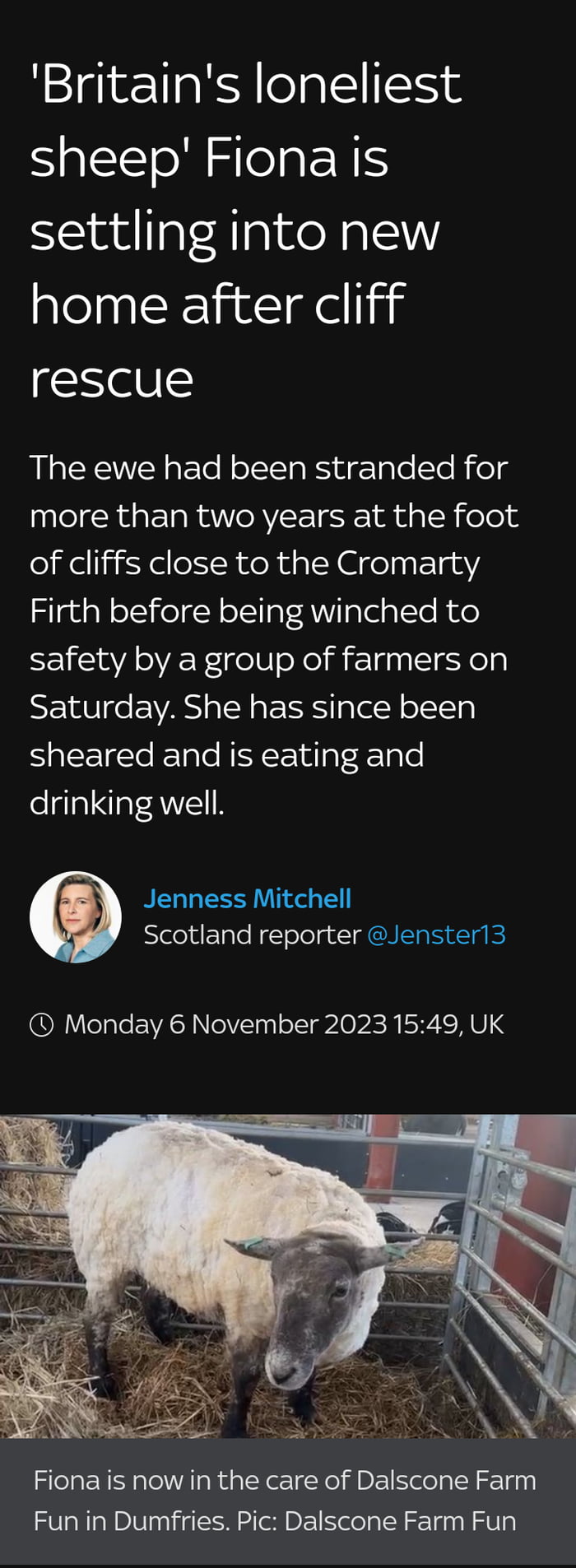 Fiona the sheep - 9GAG