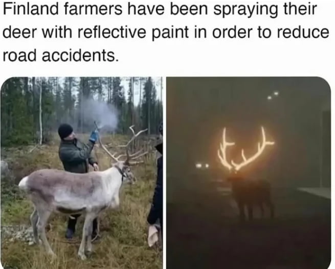 Deerlight, Guardian of the Misty Path - 9GAG