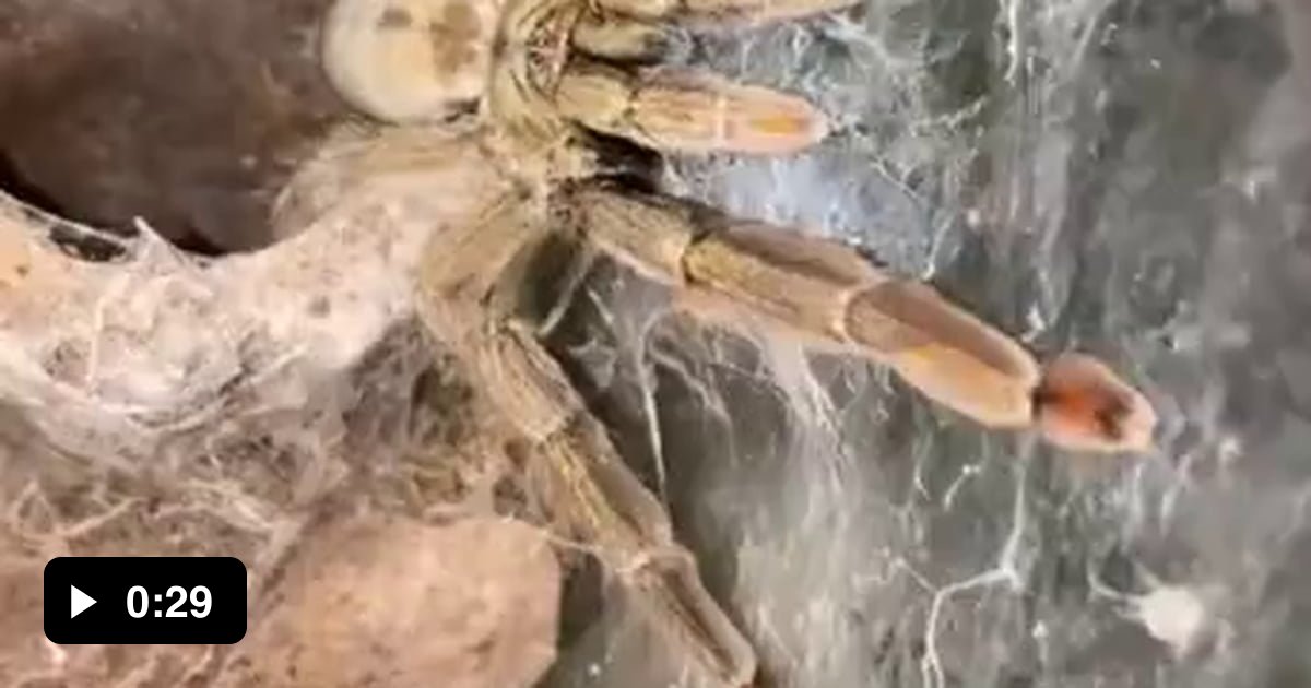 Why is he laughing???? wtffff - 9GAG