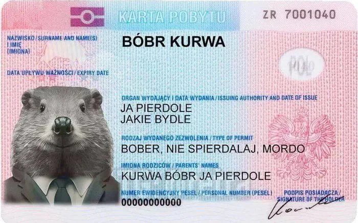 As a pole I declare from polish and 9gag community that from this day ...