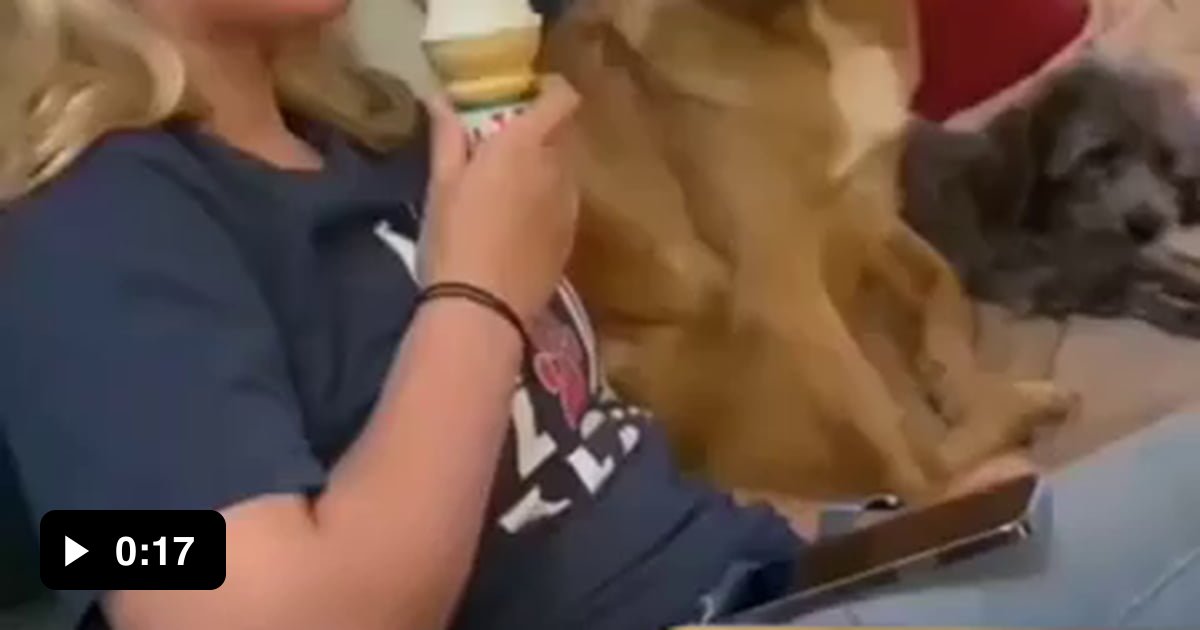 Virtual tasting - 9GAG