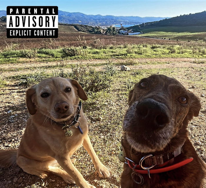 Thought it was a good album cover - 9GAG