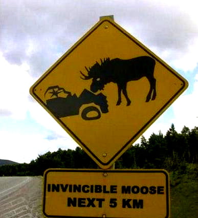 The Invincible Moose, god of Canada - 9GAG