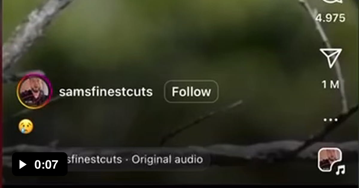 Mocking bird is mocking me - 9GAG