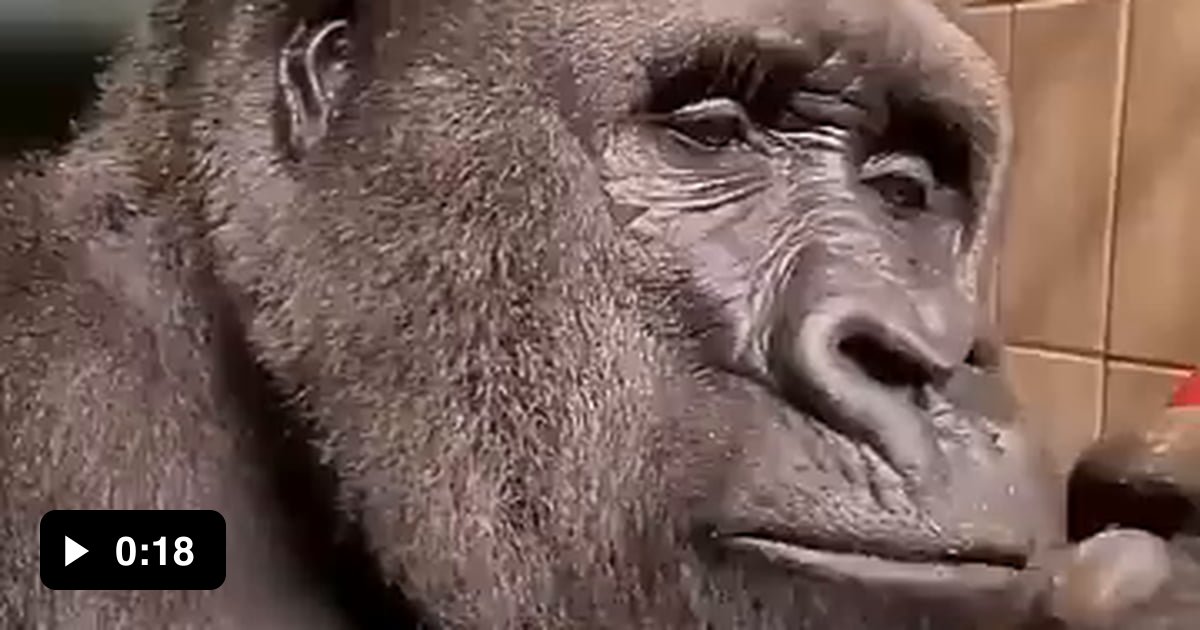 Ohh no you didn't - 9GAG