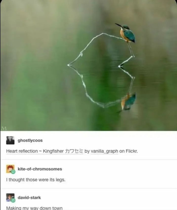 Big step ahead - 9GAG