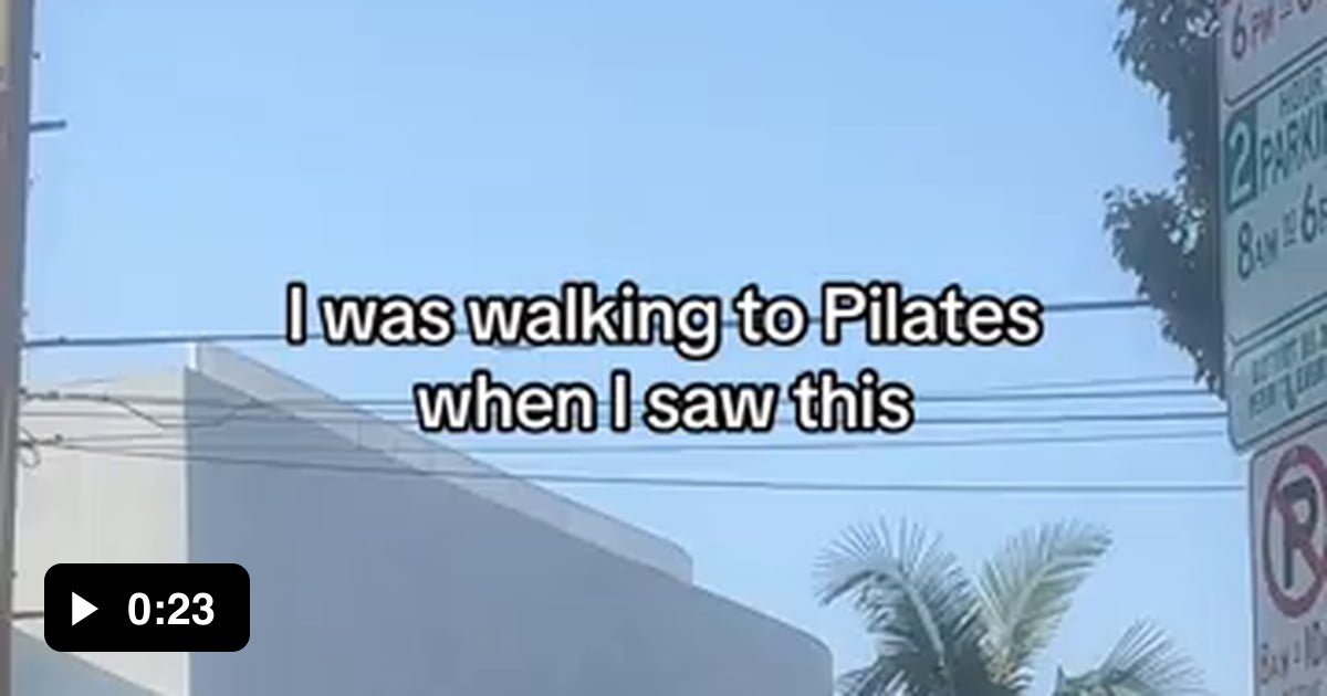 Dude Gets Arrested While Riding Worlds Biggest Scooter 9gag