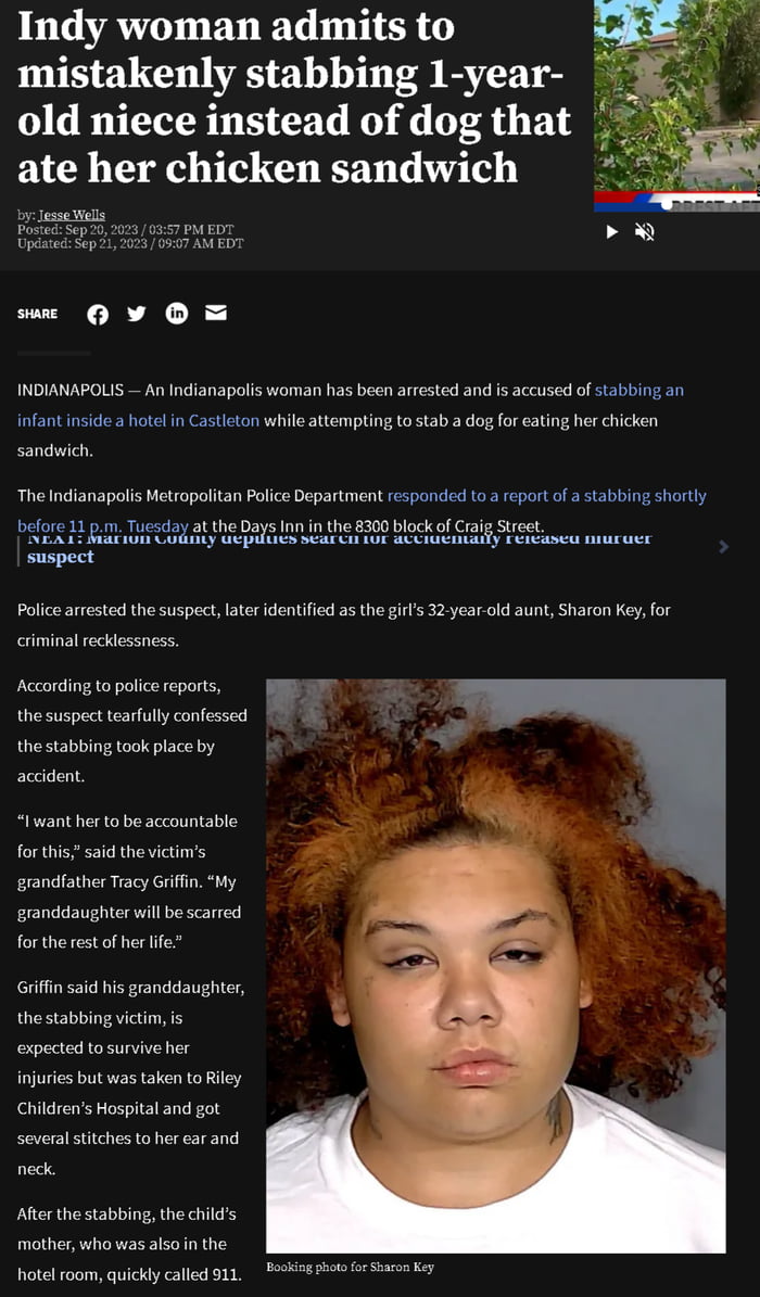 Totally normal behavior - 9GAG