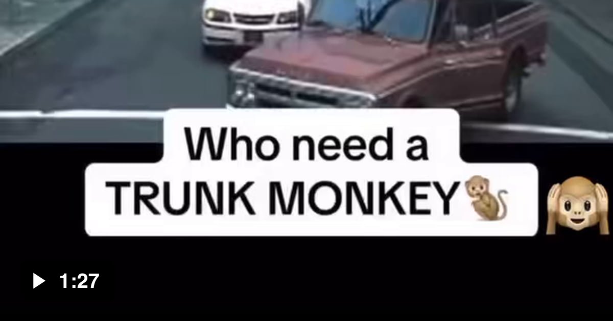 Trunk Monkey There’s No Substitute - 9GAG