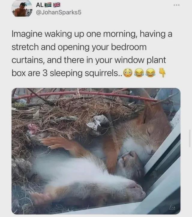 They look so comfy - 9GAG
