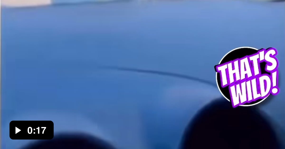 How‘s your rats tail, Annie? - 9GAG