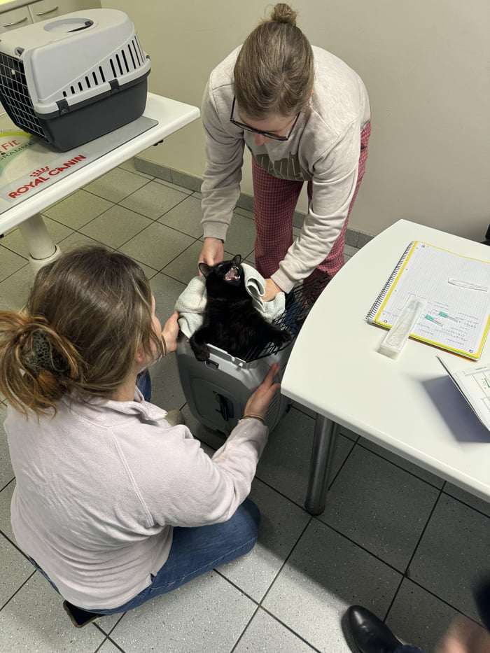 Catelyn does _not_ appreciate getting her annual check-up/shots. - 9GAG