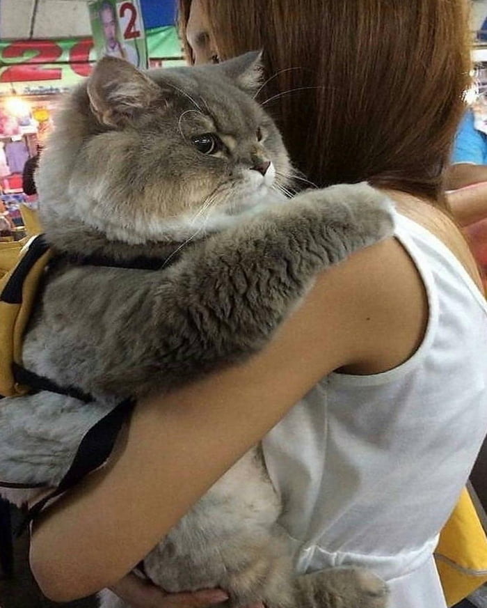 Very thicc floof - 9GAG