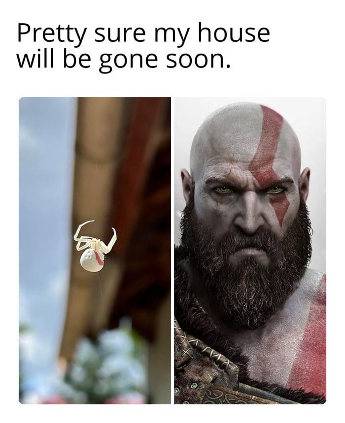 Any suggestions for a name for this angry arachnid boy? - 9GAG