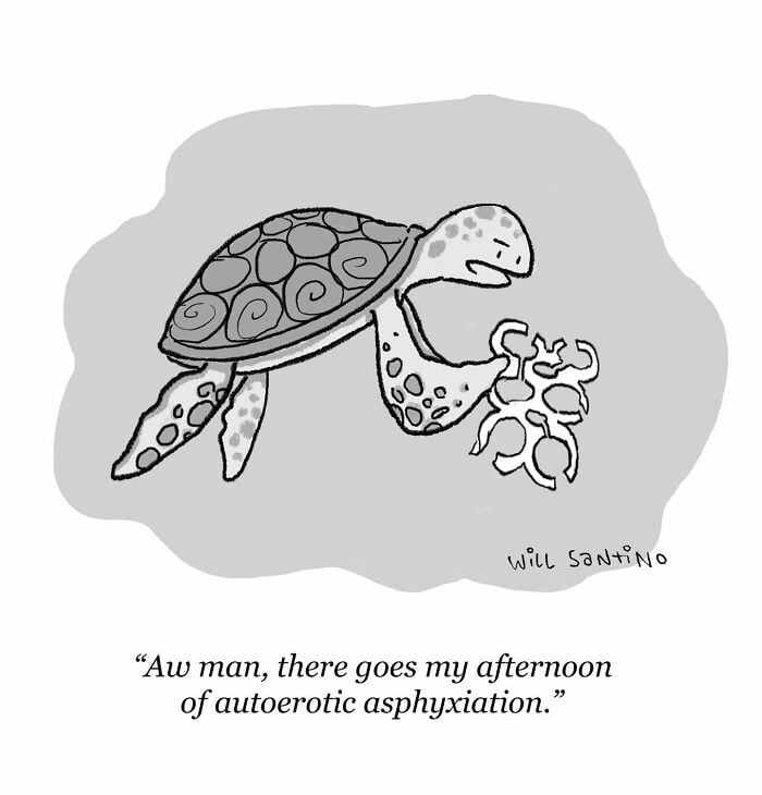 "I like turtles" - Jonathan - 9GAG