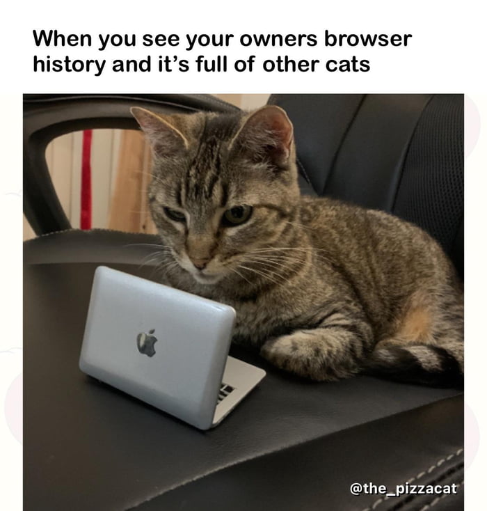 IT Security Engineer Kitty - 9GAG