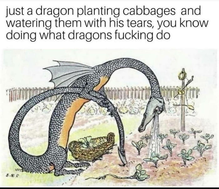 Magical Dragons - 9GAG