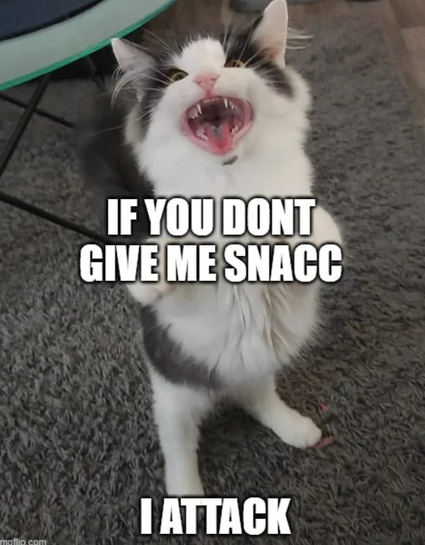 SNACC ATTACK - 9GAG