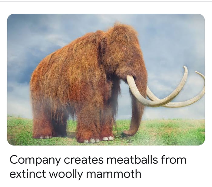 Would you eat mammoth balls - 9GAG