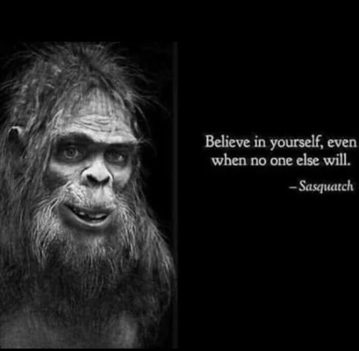Any Sites Like Wikipedia That Are Trustworthy 9GAG
