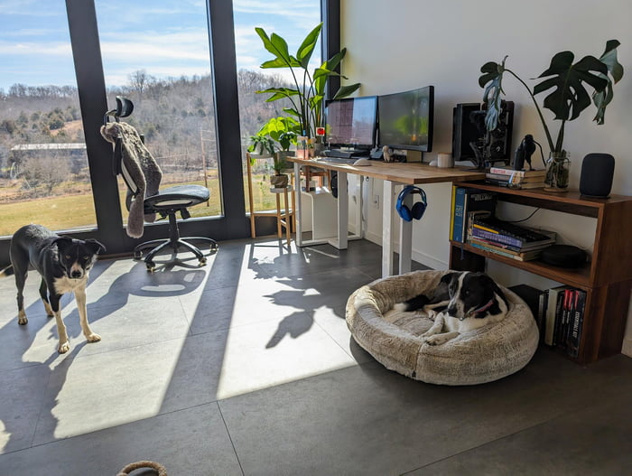 WFH Productivity/Gaming setup - 9GAG