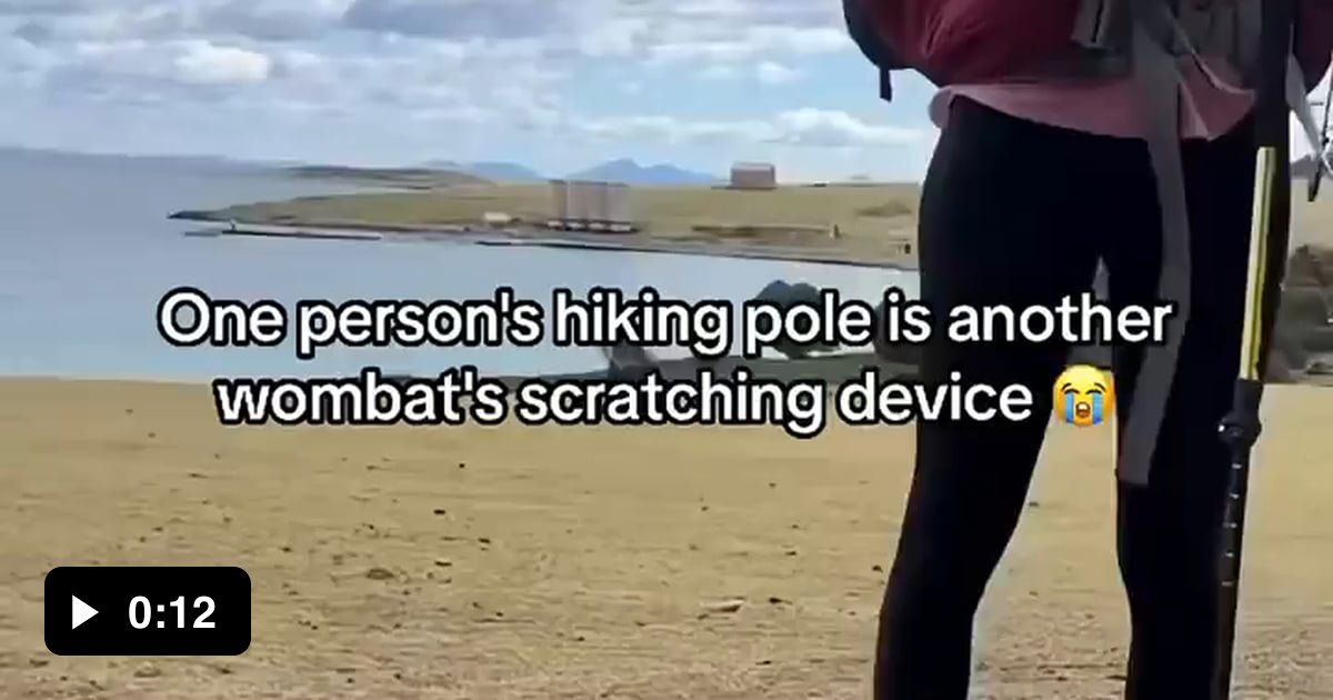 Working the pole - 9GAG