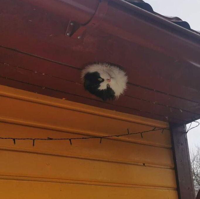 Security camera - 9GAG