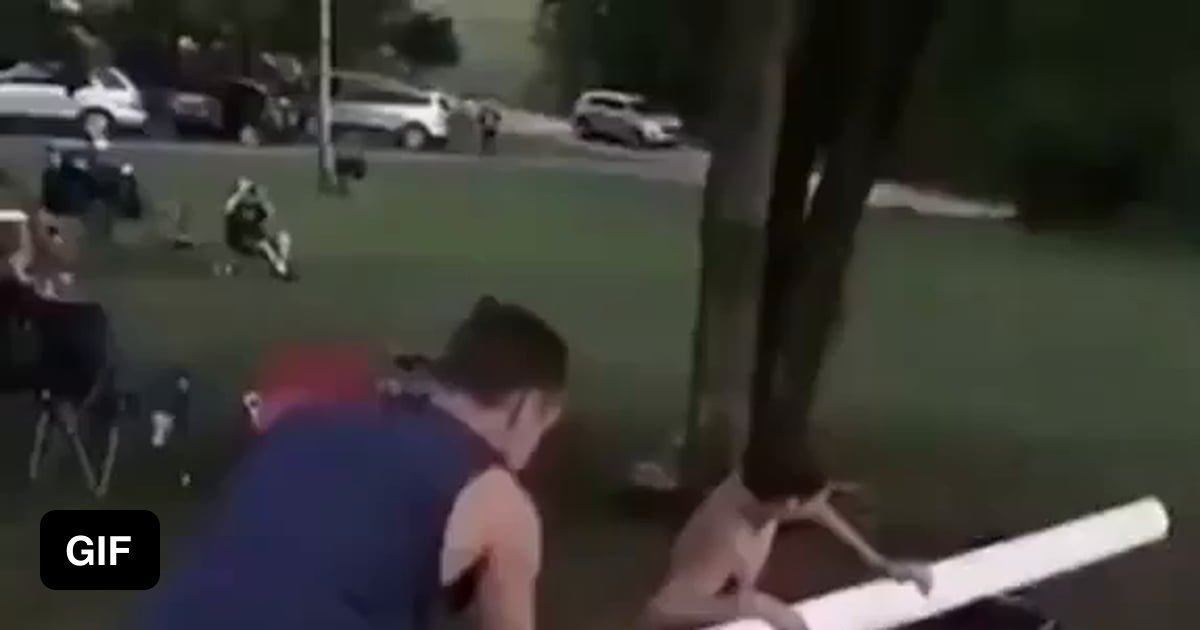 What was the intended target? - 9GAG