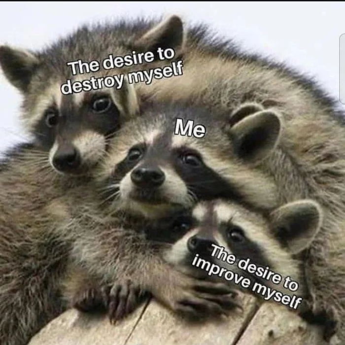 Stop reading the title enjoy the meme. - 9GAG