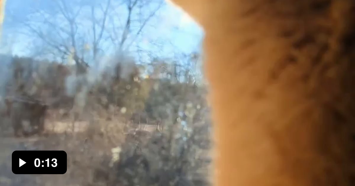 Window Cleaning Specialist Available - 9GAG