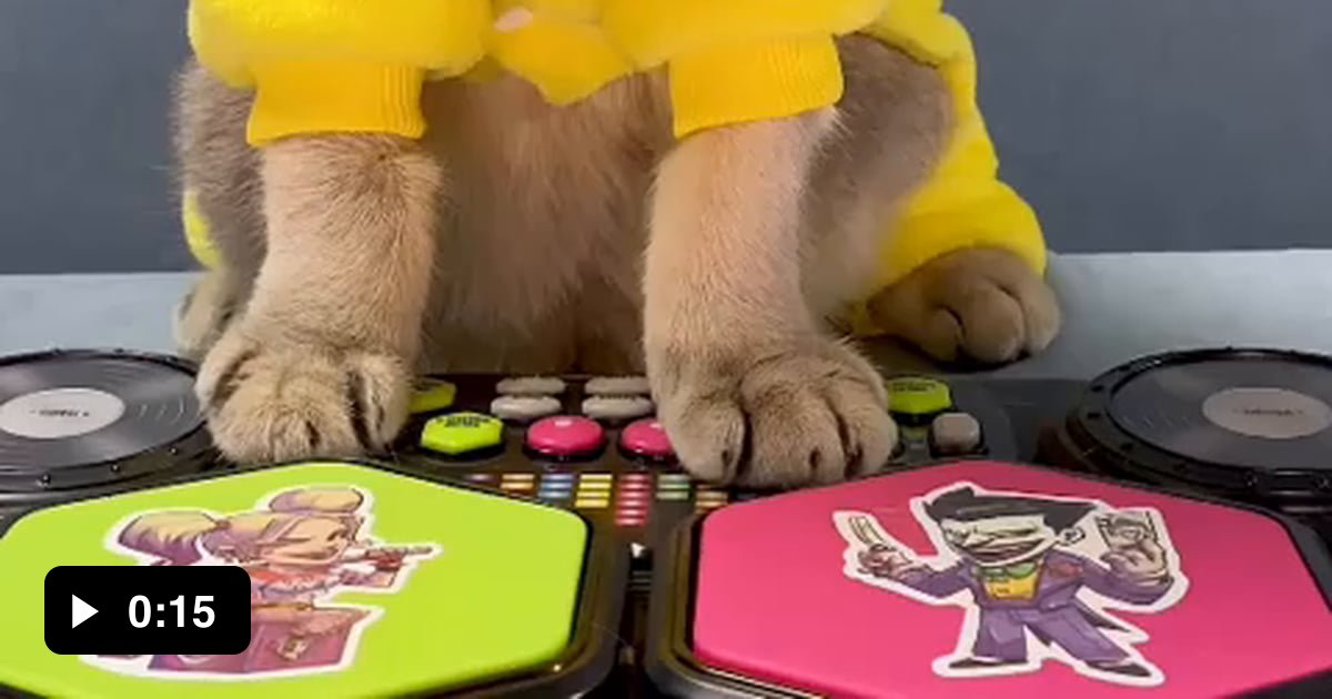 Pika Pika Dj - 9GAG