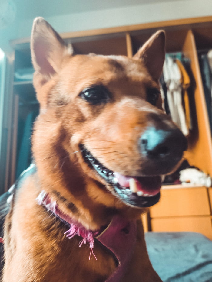 The reaction when Leia hears the word "walkies" - 9GAG