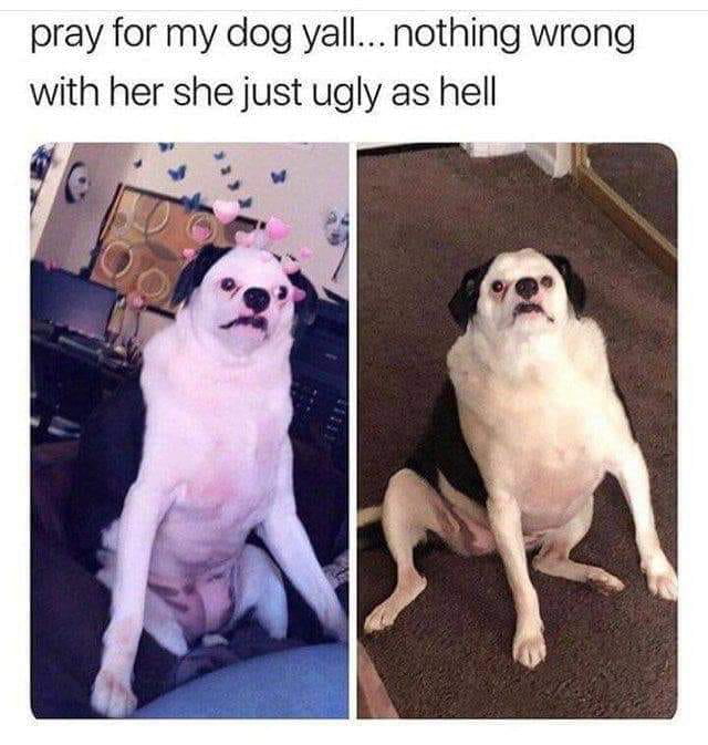 Thoughts and prayers. - 9GAG