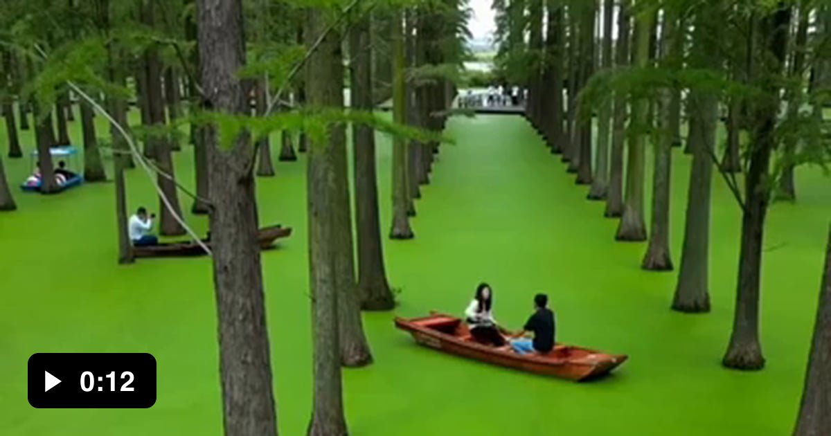 Wetlands Park, Hong Kong - 9GAG