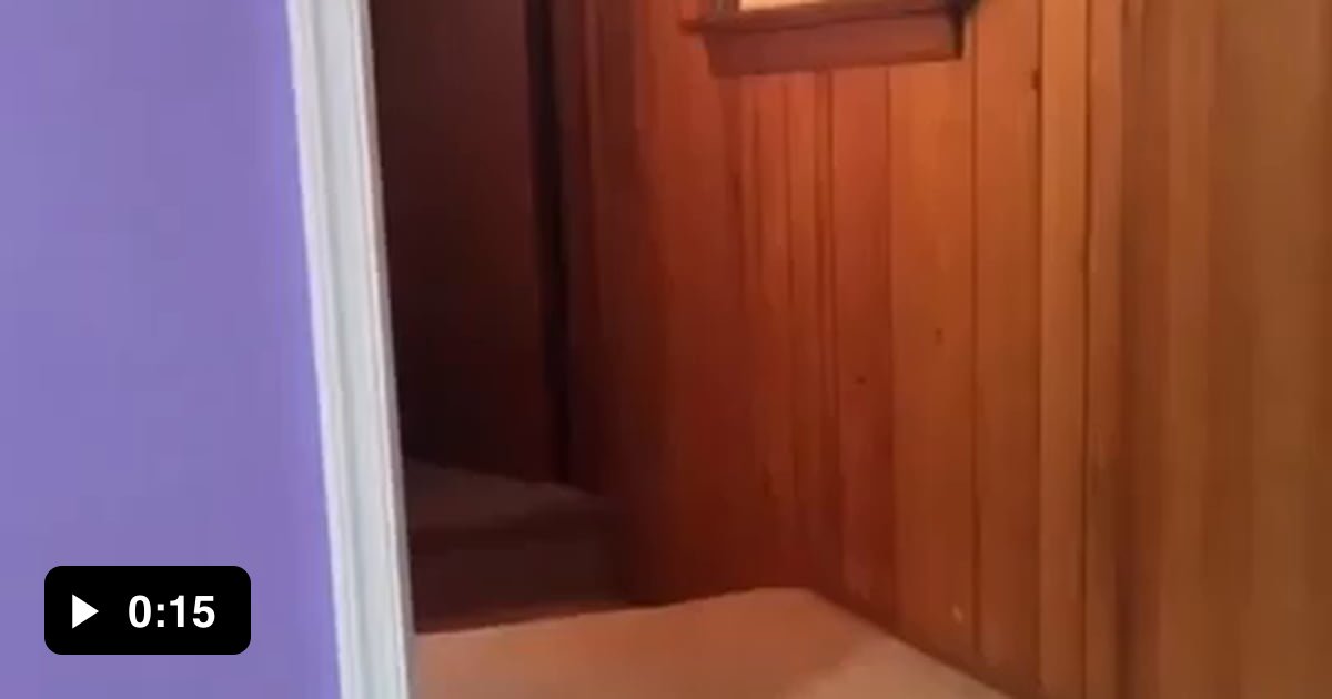 Severe Dognado approaching - 9GAG