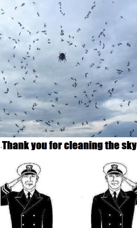Thank you Spider - 9GAG