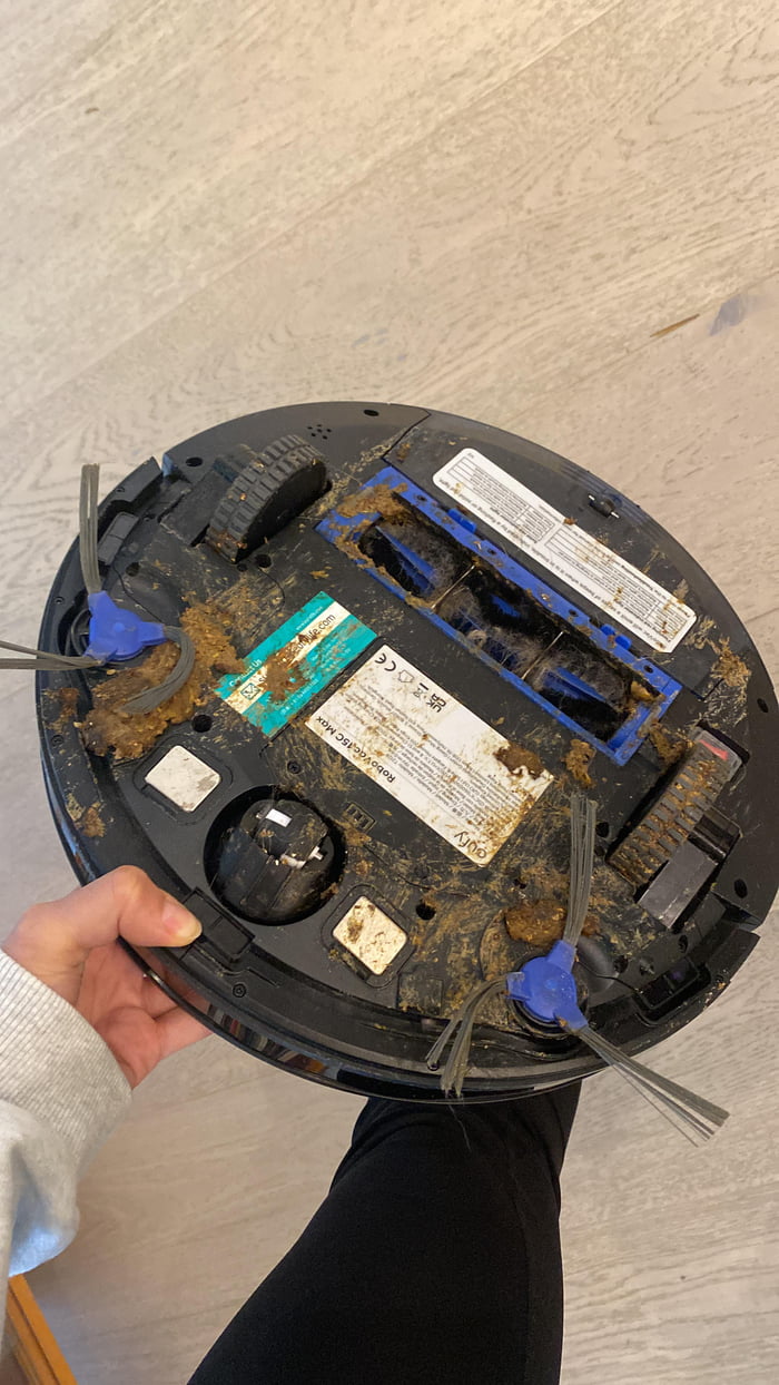 This post of a dog pooped in the night (food intolerance) and then the cat turned the roomba on ...