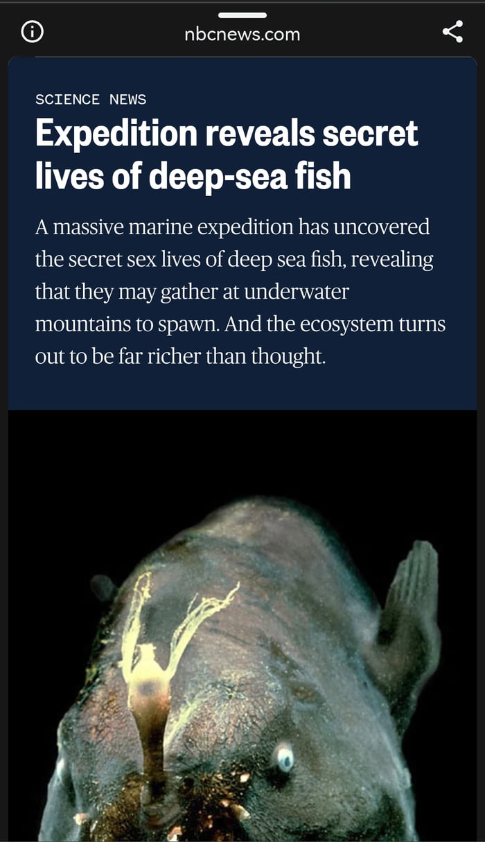 On other deep sea news.... - 9GAG