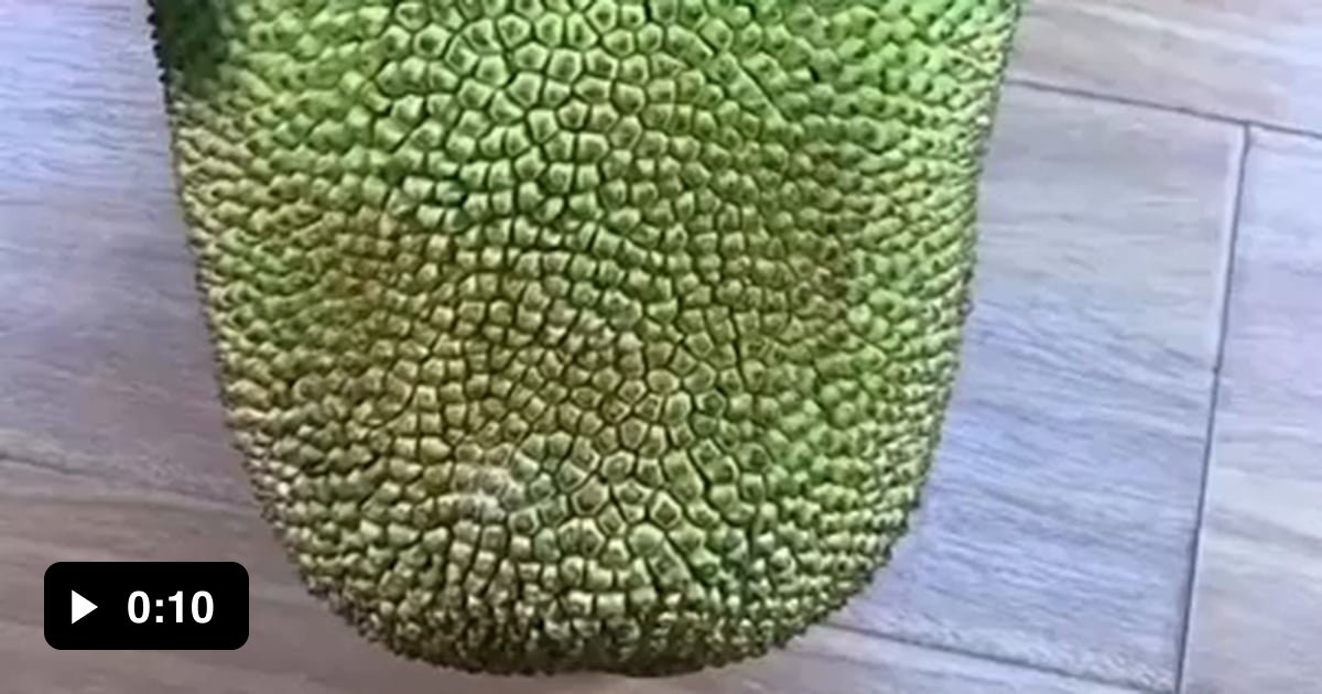 An amazing Brazilian fruit - 9GAG