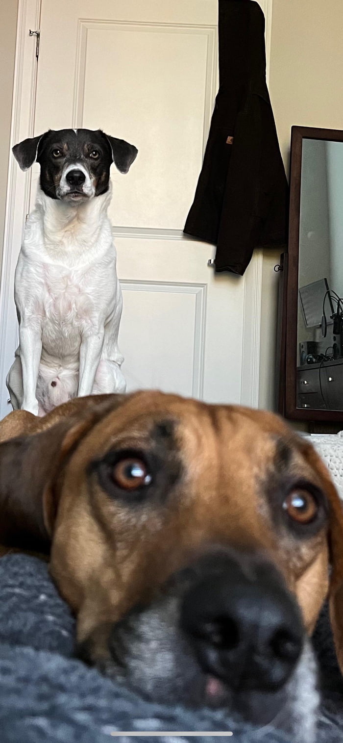 7 am. Everyday. On the dot. - 9GAG