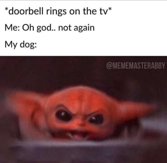 Such good protectors we have - 9GAG