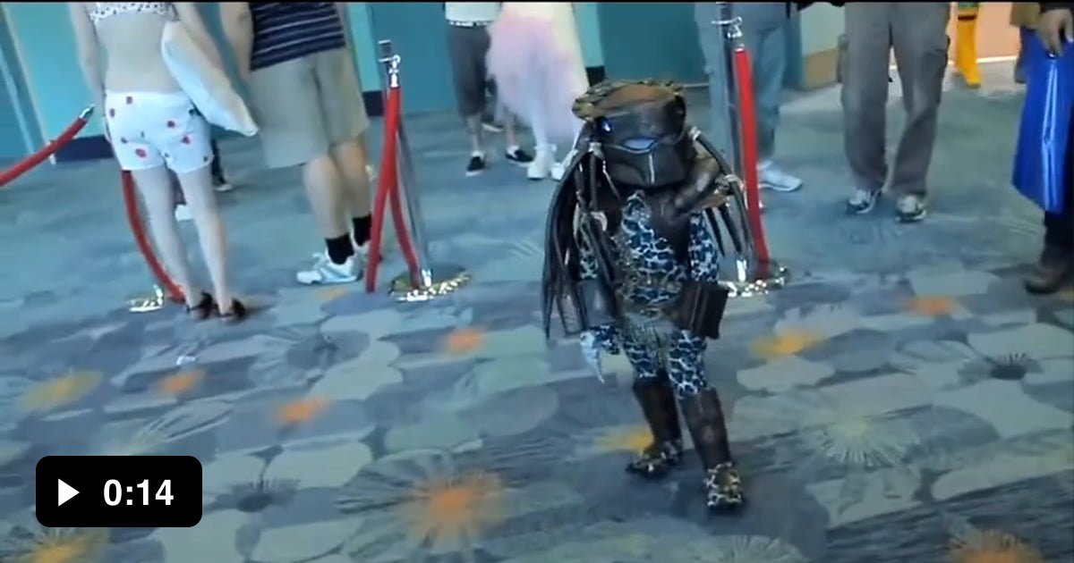 Mini-predator - 9GAG