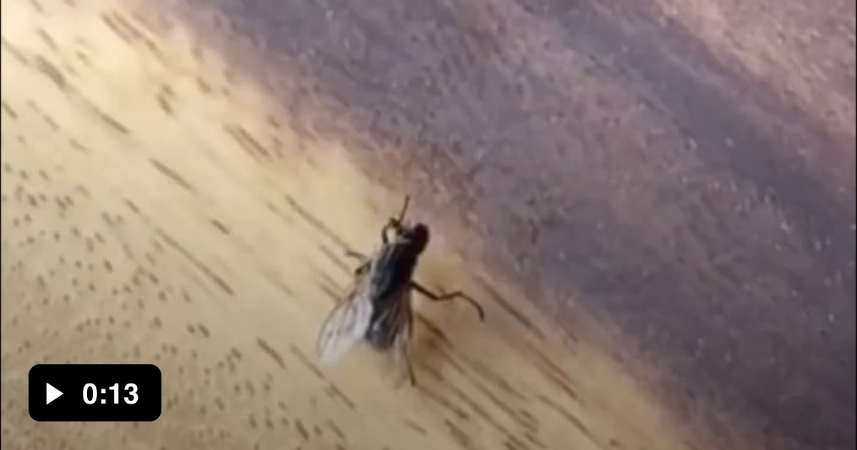 Shieet I feel bad - 9GAG