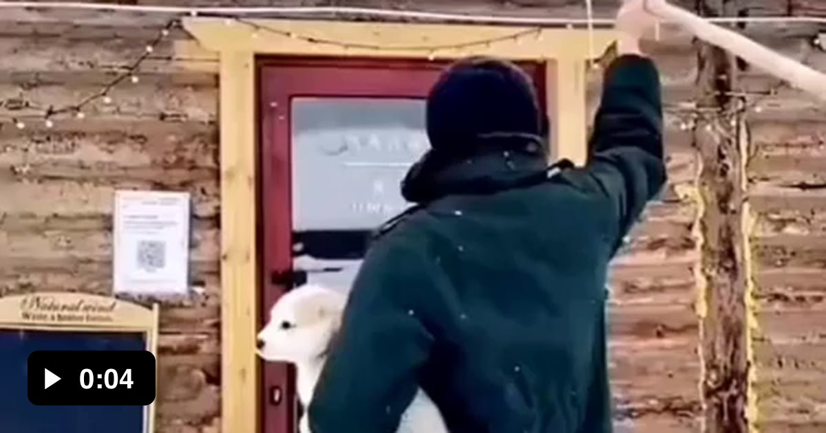 Confused pupper - 9GAG