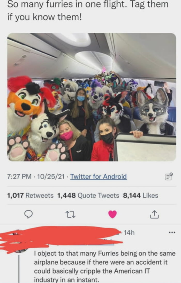 True a lot of furries are in IT - 9GAG