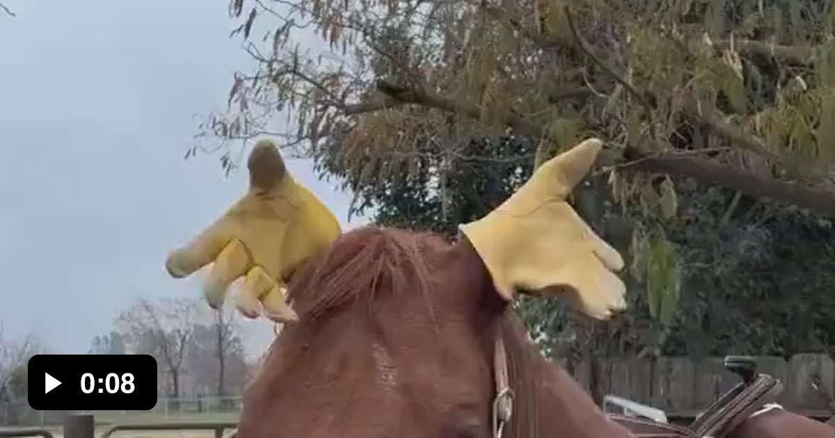 "Hey Hands Off" - 9GAG