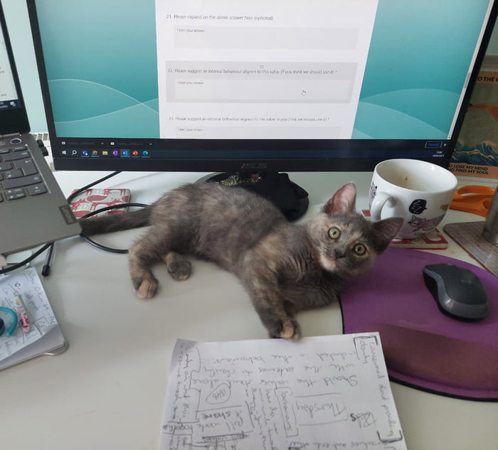 Office Manager Tilly - 9GAG